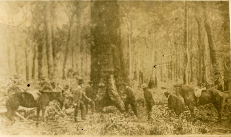 Bryan, Robert Sturrock Postcard of the lost children | Bryan. Halbert ...